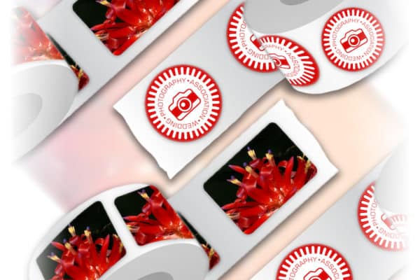 Tampa Printing Solutions | Copy, Design, Mail, Print - Tampa